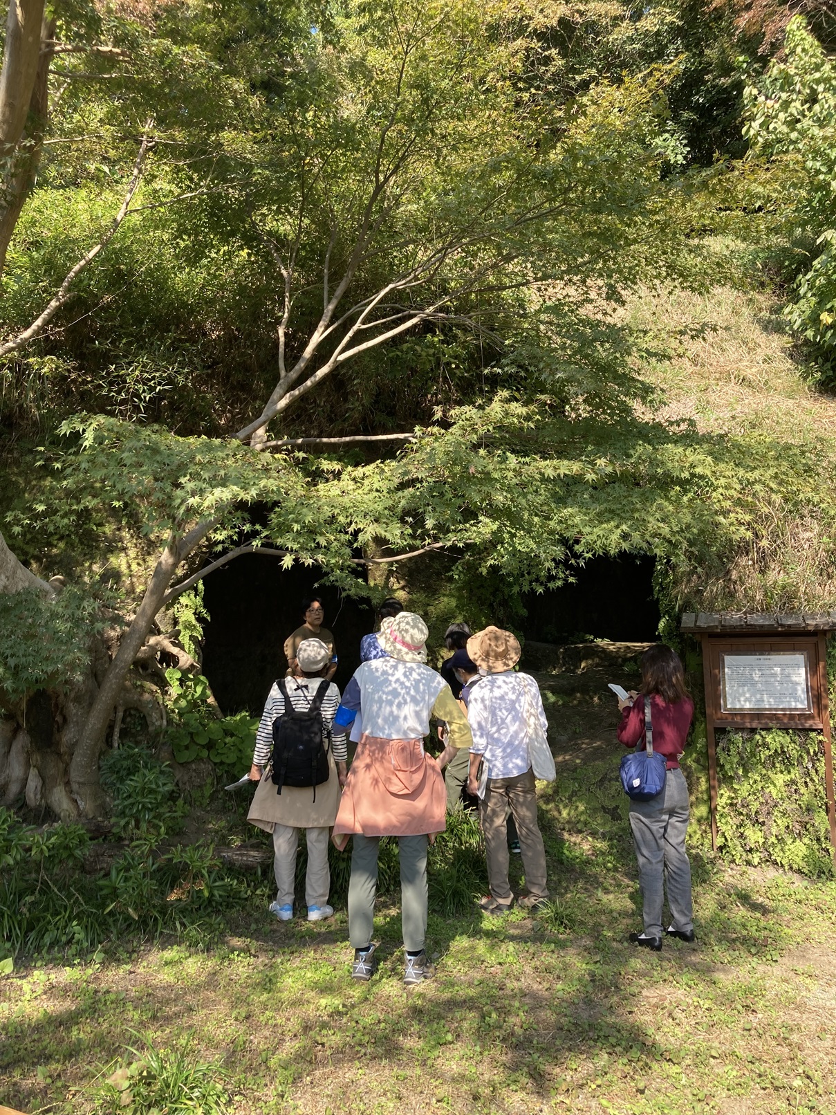 観察会「地質や地形を観察してみよう」 | （一社）NIELA